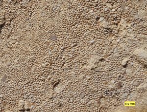 Wooster Geologists | A World to Explore | Page 20