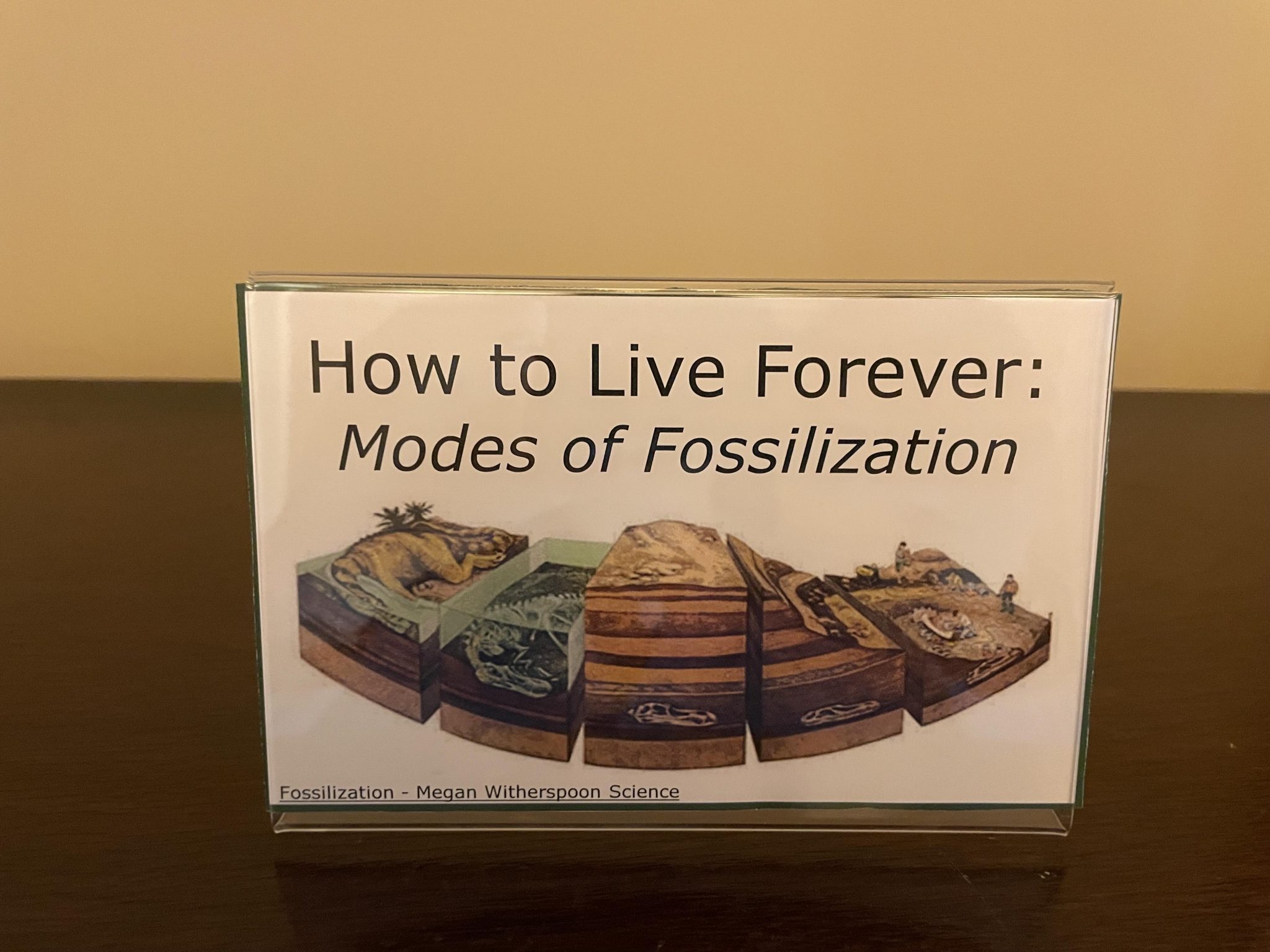 Paleoecology (2025) and Museum Studies | Wooster Geologists